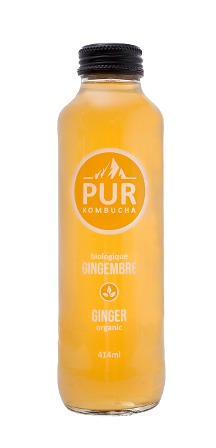 PURE KOMBUCHA ORGANIC GINGER 414ML — Marché Nuvo